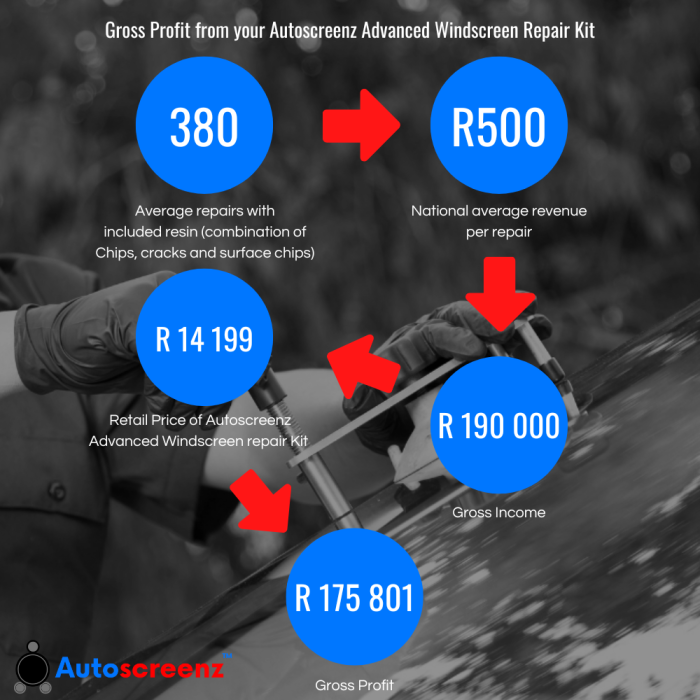 Windscreen Repair Advanced Kit - Autoscreenz