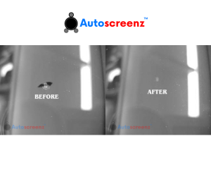 Autoscreenz Windscreen Repair SkillBuilder Starter Kit